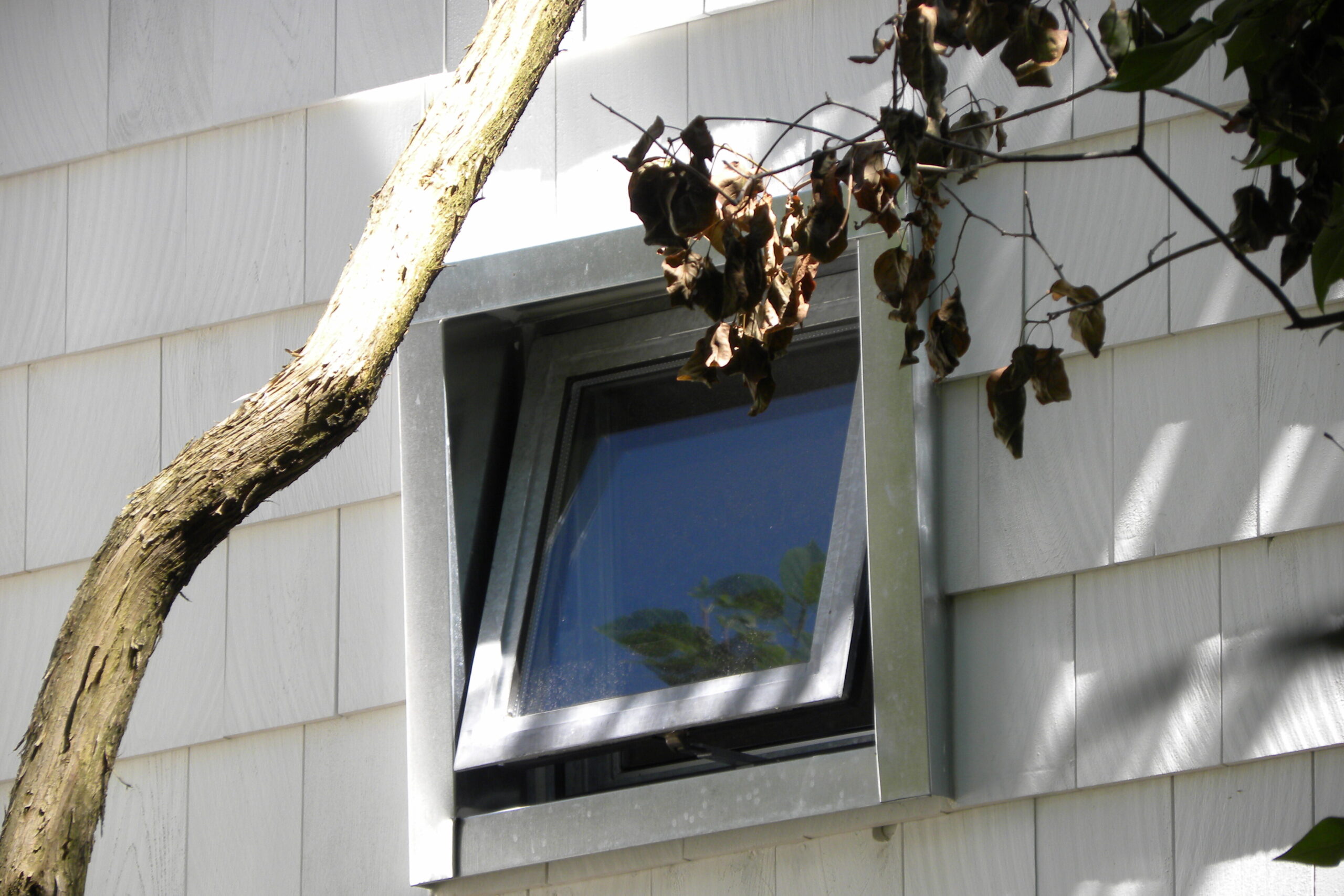 Windows - Bliss Nor-am